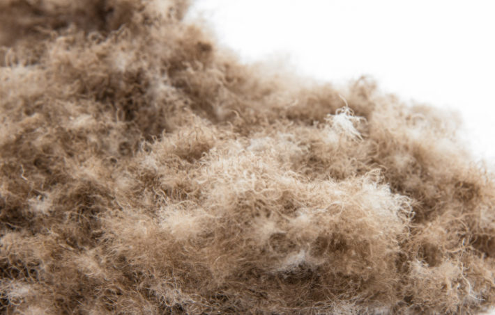 Eiderdown Duvet | Icelandic Down